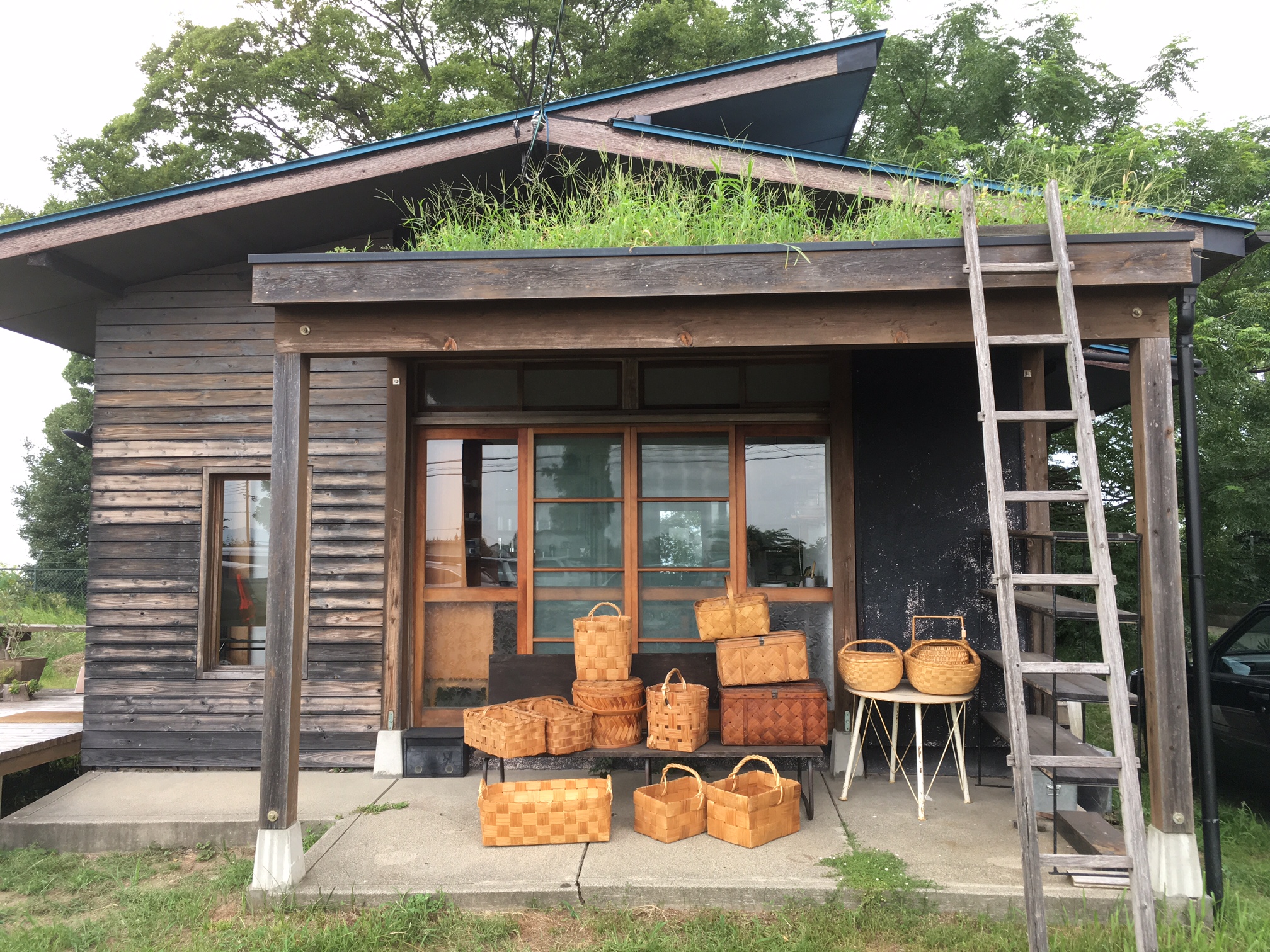 買い付け商品のお披露目 - vokko / ヴォッコ